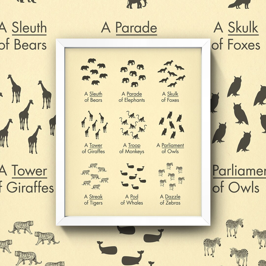 Animal Collective Chart Poster • 4 Sizes! • Animal Chart • Animal ...