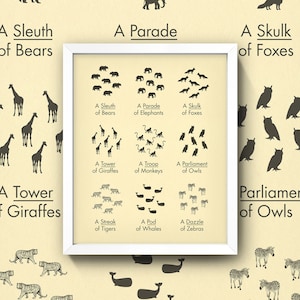 Animal Collective Chart Poster • 4 Sizes! • Animal Chart • Animal ...