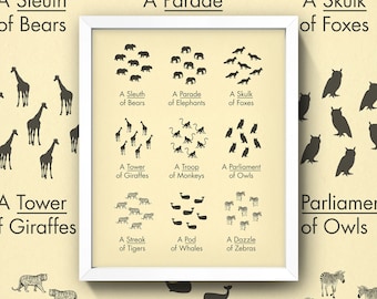 Vintage Animal Poster - Etsy