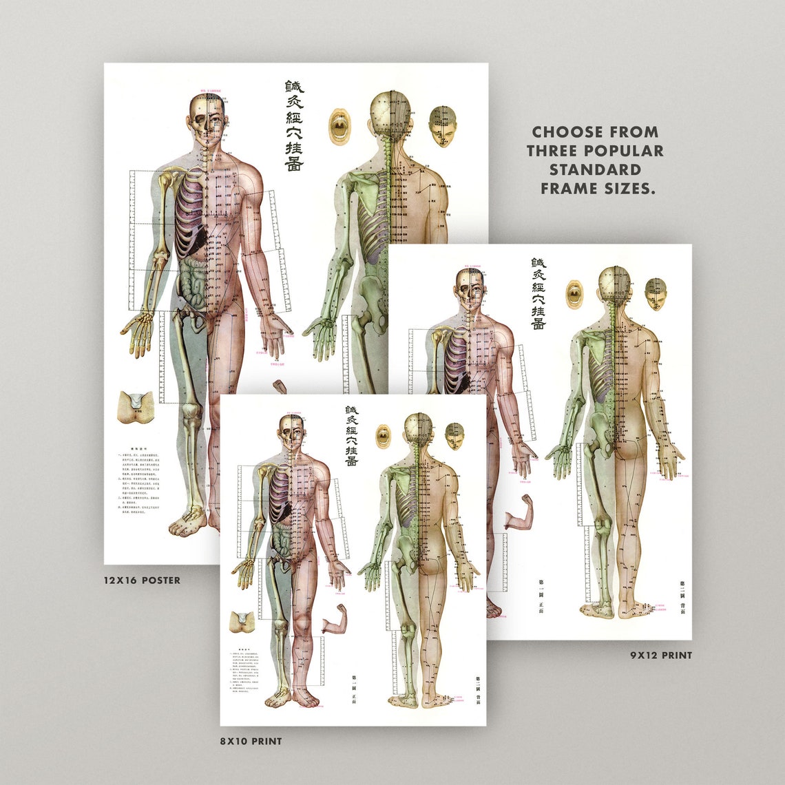 Acupuncture Chart Print Choose From 5 Sizes Vintage | Etsy