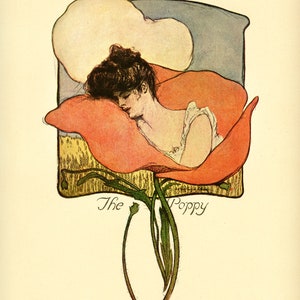 Antique “the Poppy” Print • 8x10 Print • Gorgeous Vintage Art Nouveau ...