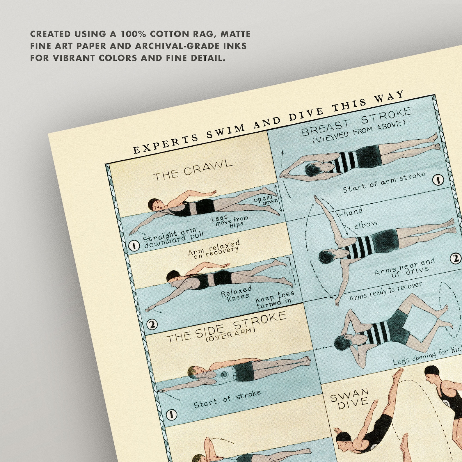 Antique Swimming Poster • Vintage Swim and Diving Chart • 3 Sizes ...