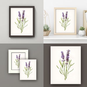 Lavender Print • Vintage Lavender Art • 4 Sizes! • Antique Bathroom Art ...