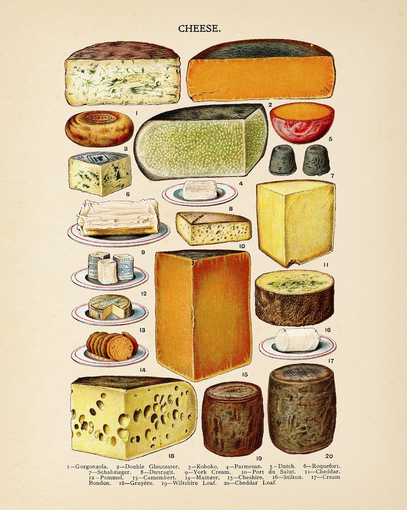 Cheese Print Vintage Kitchen Wall Art Kitchen Poster - Etsy UK