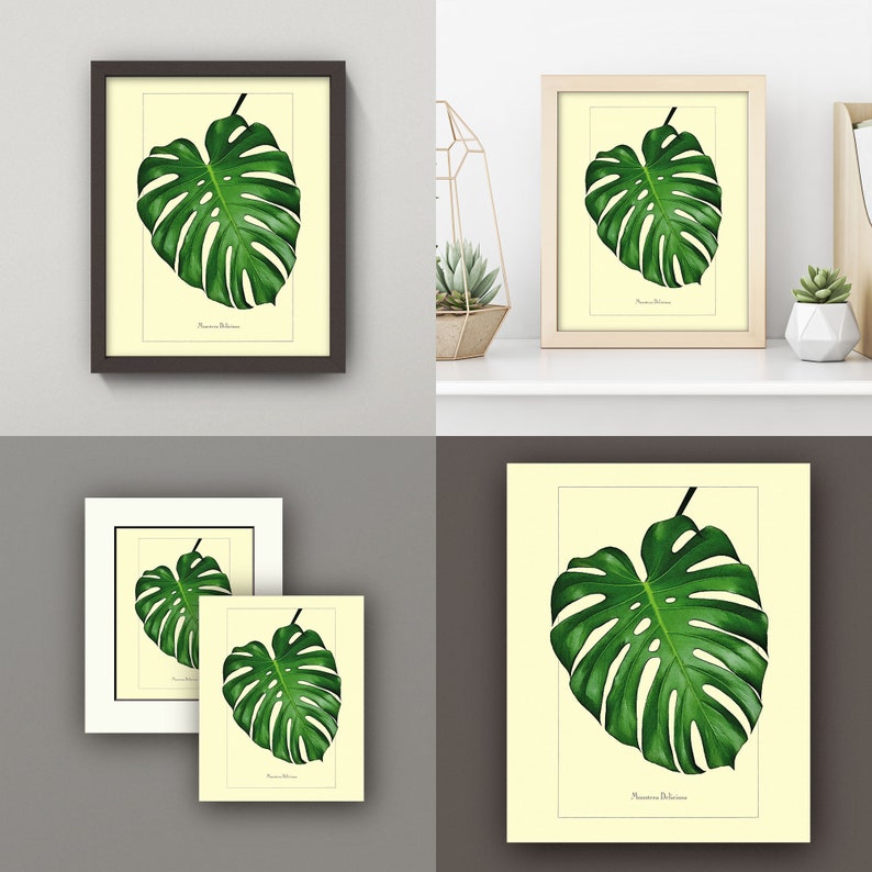 Vintage Monstera Deliciosa Leaf Print Monstera Art 4 - Etsy