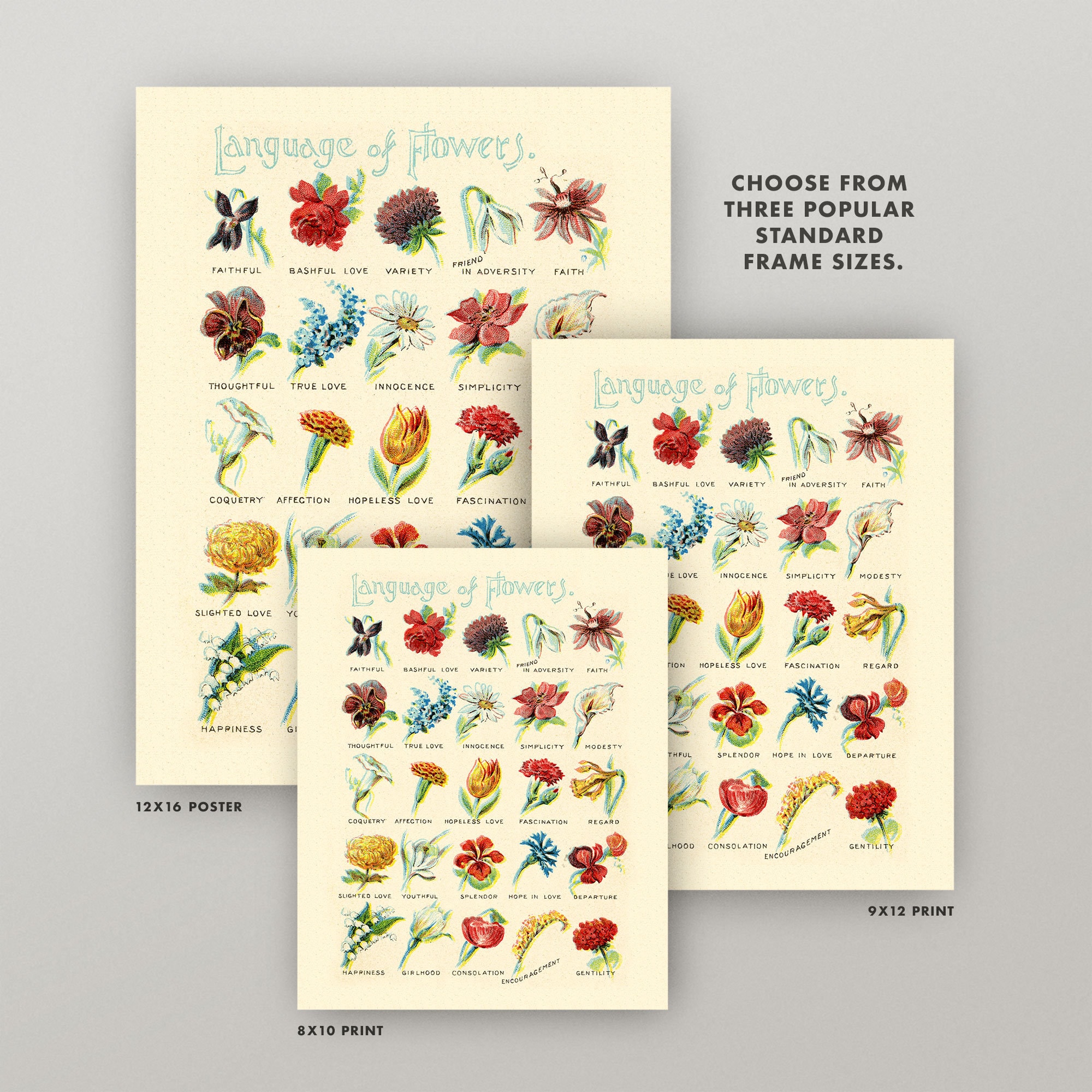 The Language of Flowers • Antique Victorian Flower Diagram • 4 Sizes ...