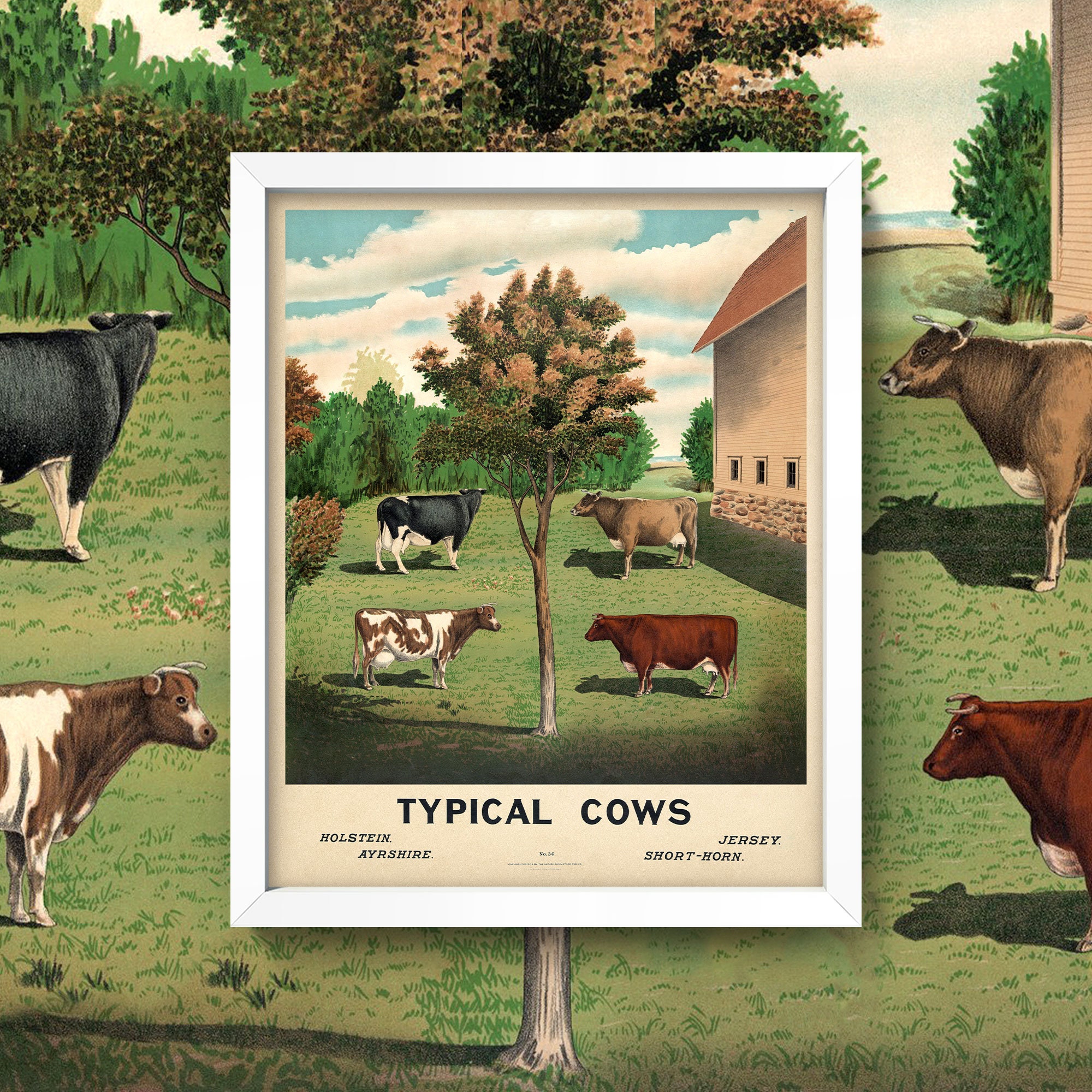 Typical Cows Print or Poster Vintage Farm Wall Art 5 | Etsy
