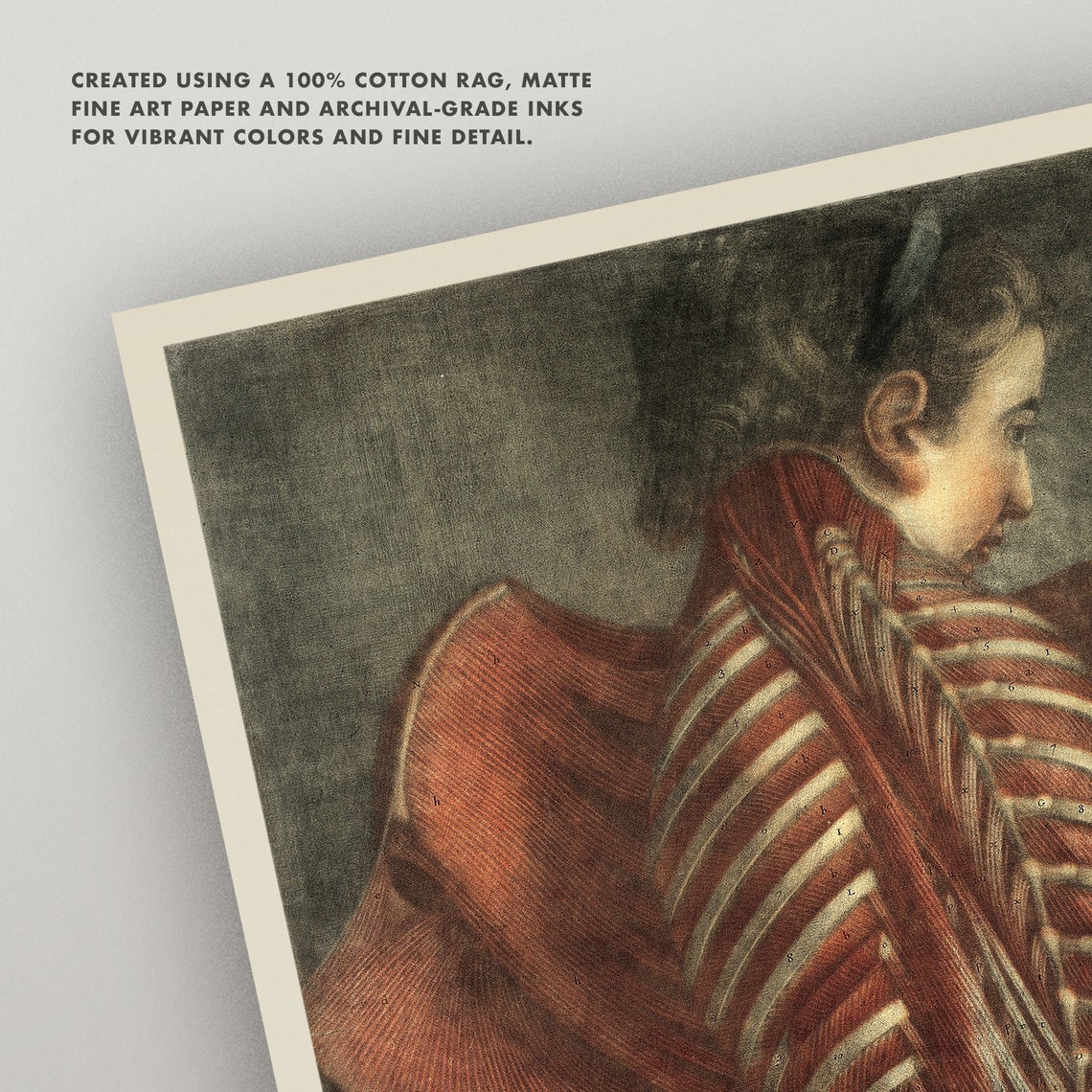 His and Hers Cadavers Antique Anatomy Wall Art Set of 2 | Etsy