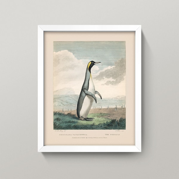 Antique Penguin - Etsy