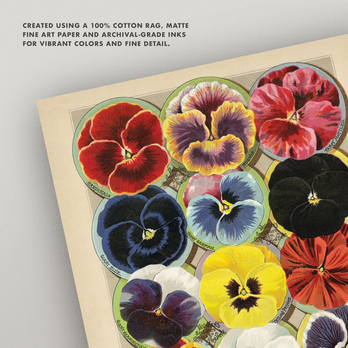 Vintage Pansies Print or Poster Antique Pansies Wall Art 4 - Etsy
