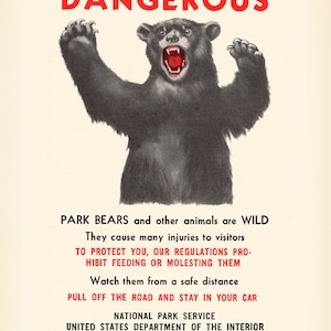Dangerous! Vintage Bear Print or Poster • Vintage Bear Warning Sign • 4 ...
