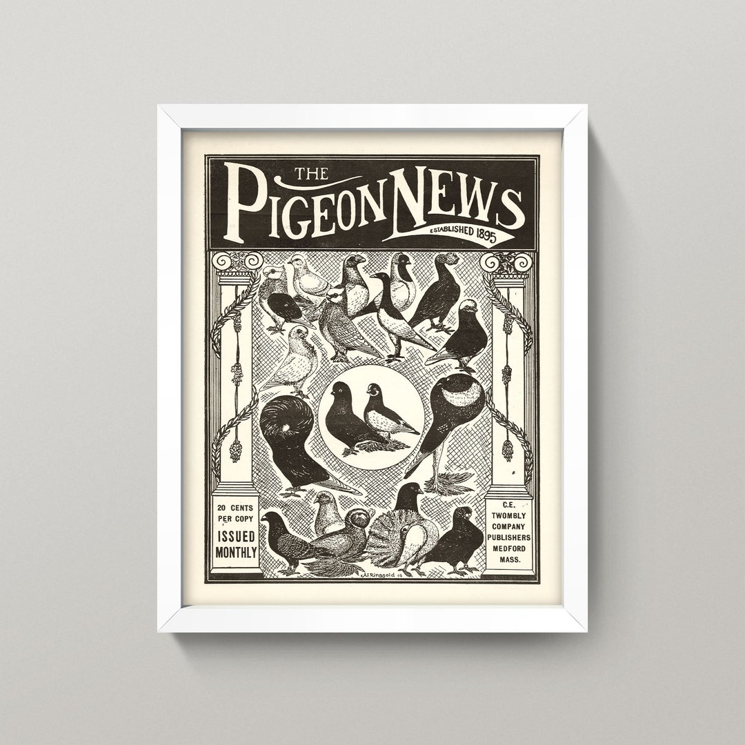 Pigeon Print • Antique Pigeon News Magazine Cover Wall Art • 4 Sizes ...