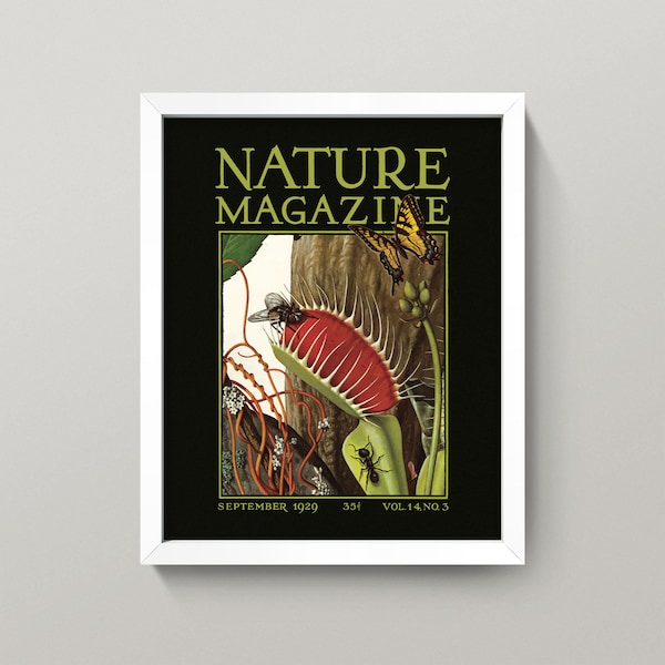 1920s Nature Print - Etsy