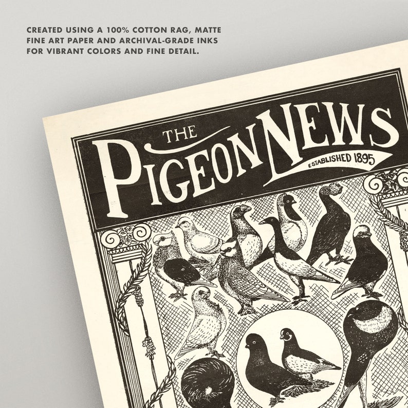 Pigeon Print Antique Pigeon News Magazine Cover Wall Art 4 | Etsy