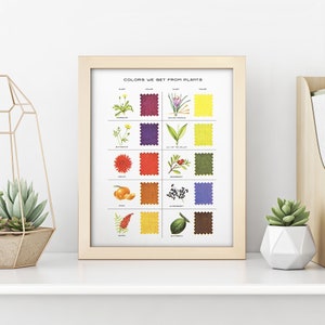 Natural Dyes Color Chart • Vintage Plant Color Print • 8X10 Print ...