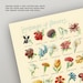The Language of Flowers • Antique Victorian Flower Diagram • 4 Sizes ...