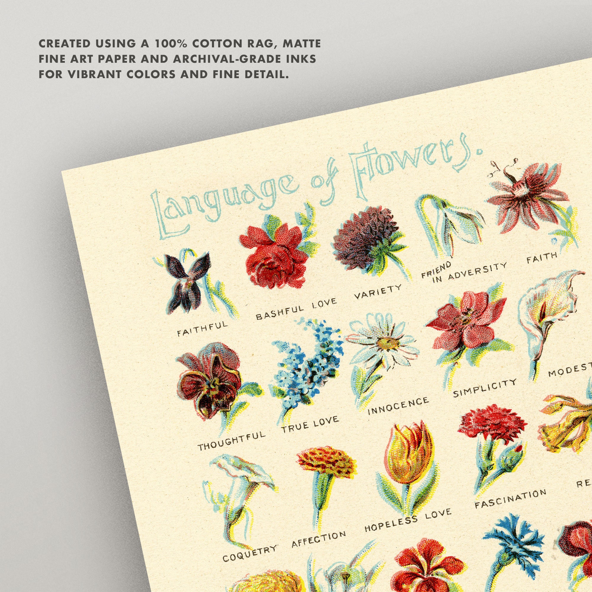 The Language of Flowers Antique Victorian Flower Diagram 4 | Etsy