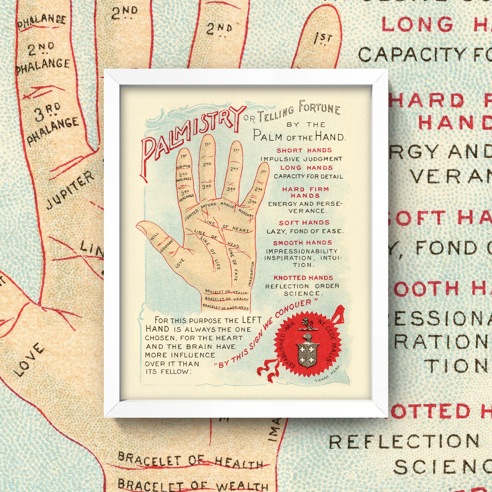 Palmistry Diagram