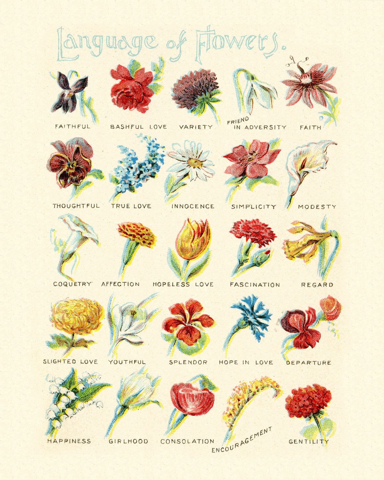 The Language of Flowers • Antique Victorian Flower Diagram • 4 Sizes ...