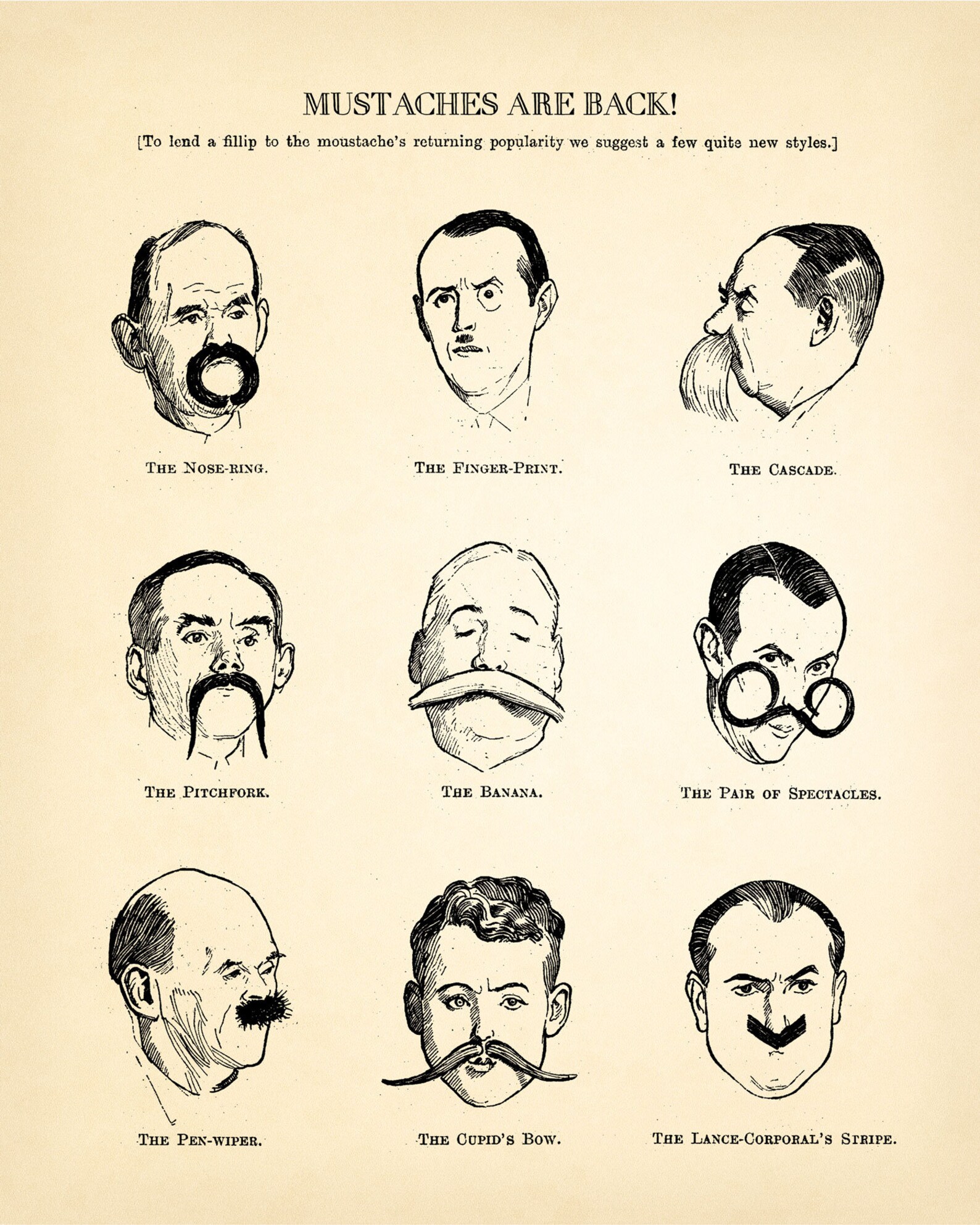 Mustache Print • Vintage Mustache Type Chart • 3 Sizes! • Choose Your ...