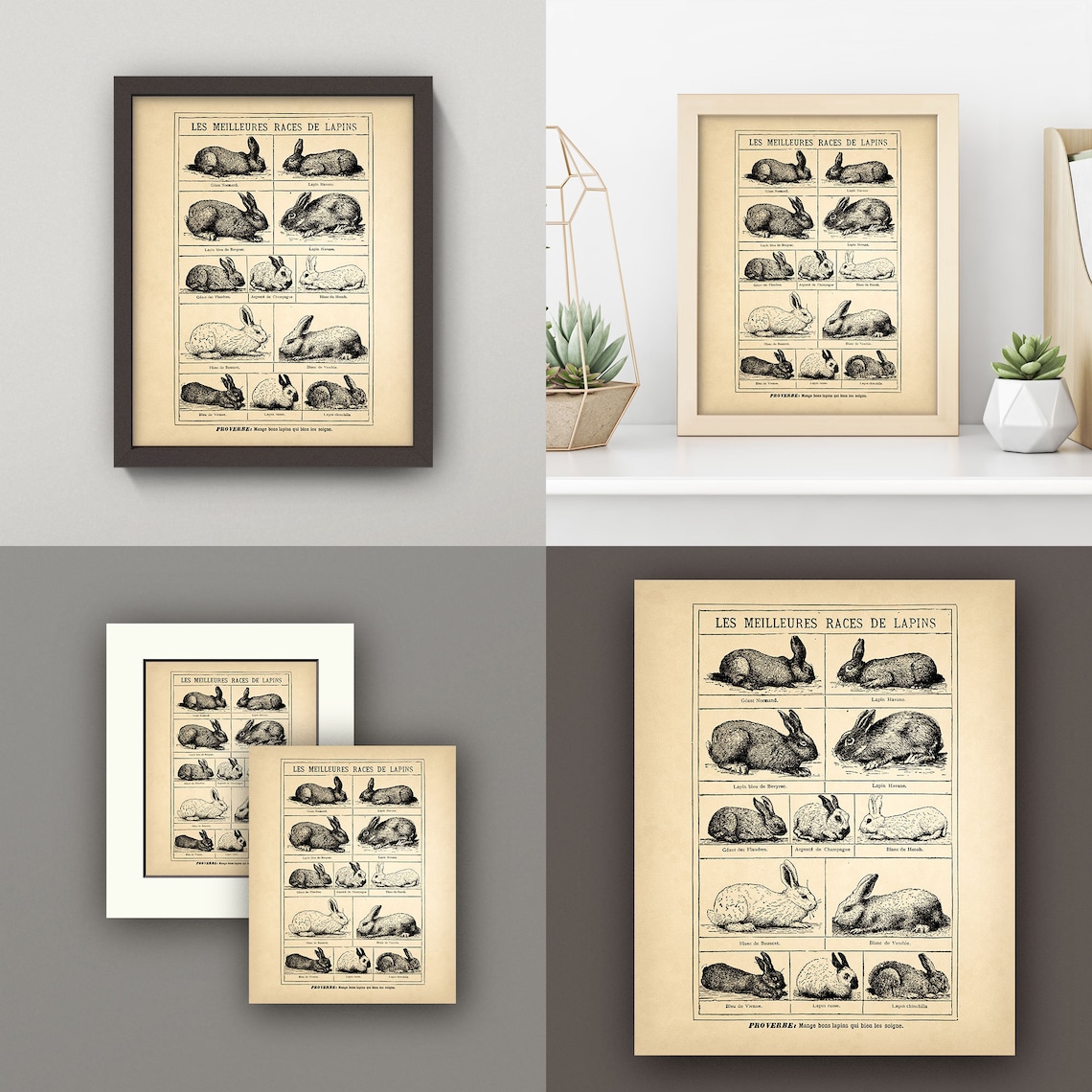 French Rabbits Print "lapins" • 4 Sizes! • Print or Poster 8X10, 9X12 ...