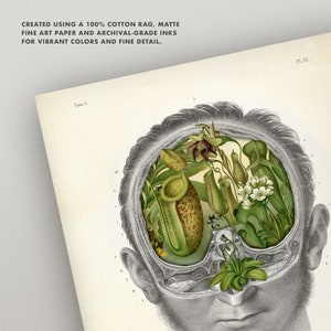 Exotic Plants Skull Collage • Antique Snail Wall Art • 4 Sizes ...