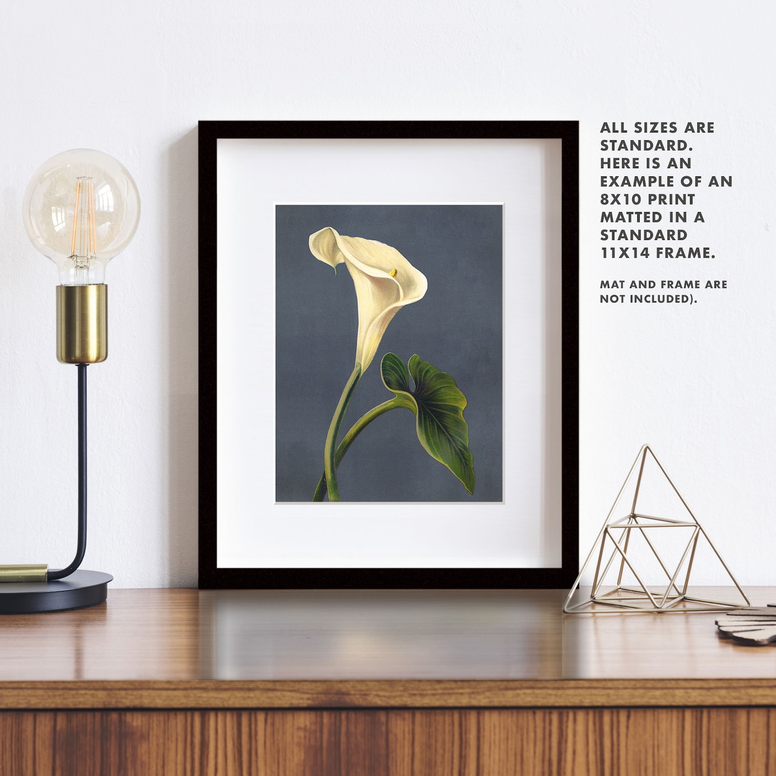 Antique Calla Lily Print • Vintage Arum Lily Wall Art • 4 Sizes! • Art ...