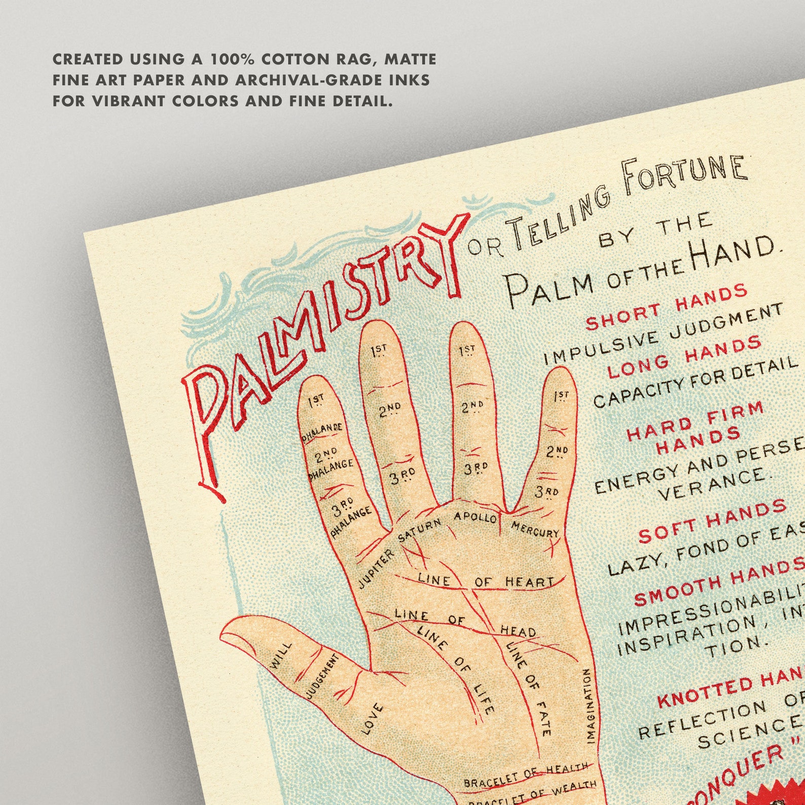 Palmistry Print Vintage Palmistry Fortune Telling Wall Art | Etsy
