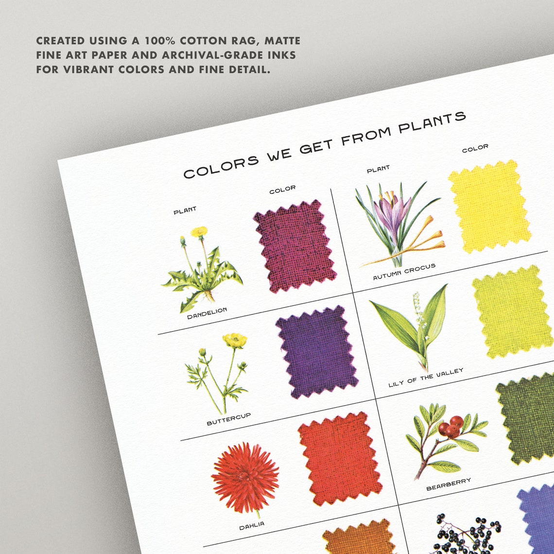 Natural Dyes Color Chart • Vintage Plant Color Print • 8X10 Print ...