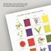 Natural Dyes Color Chart Vintage Plant Color Print 8X10 Print Color ...