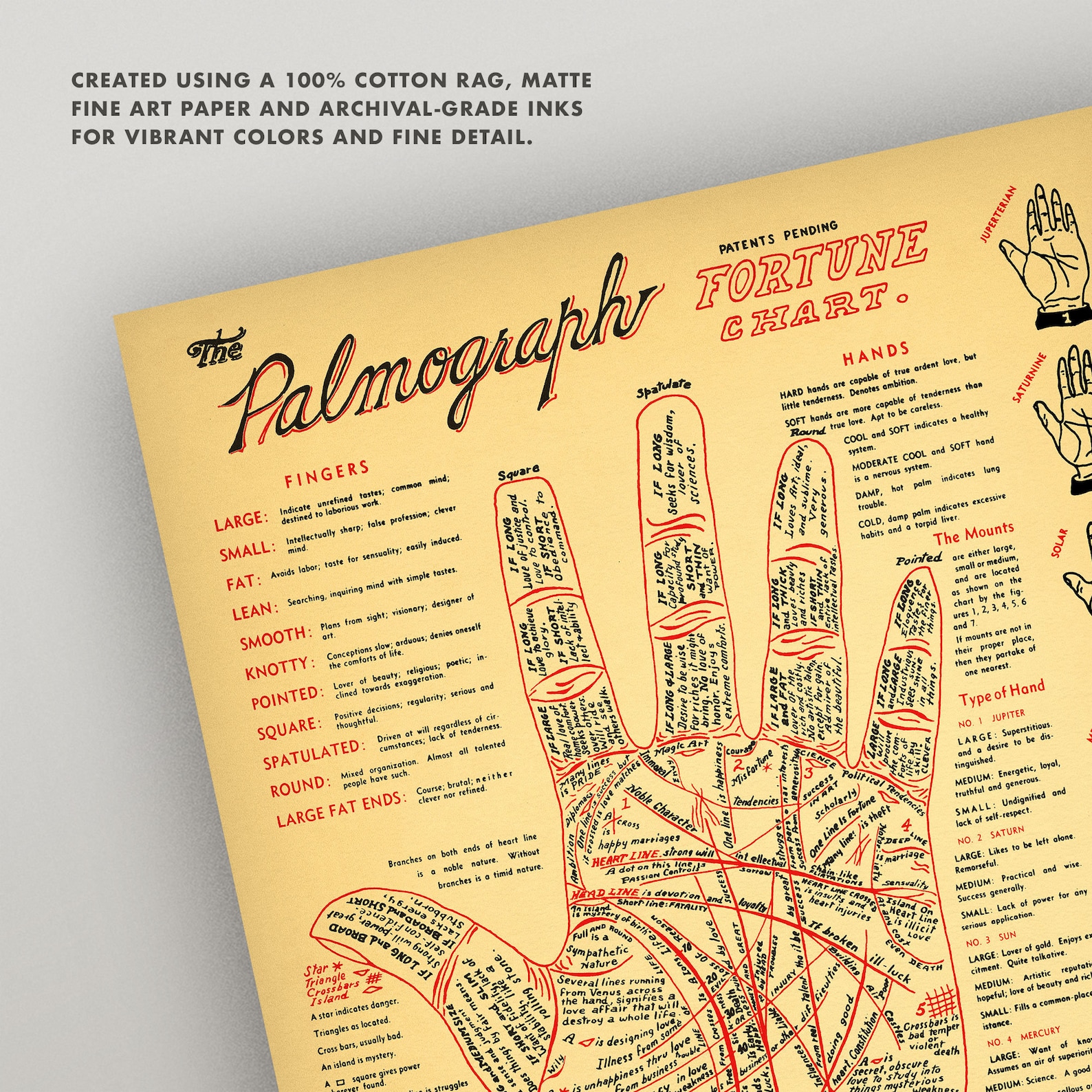 Buy Vintage Palmistry Chart 5 Sizes Fortune Telling Online in India - Etsy