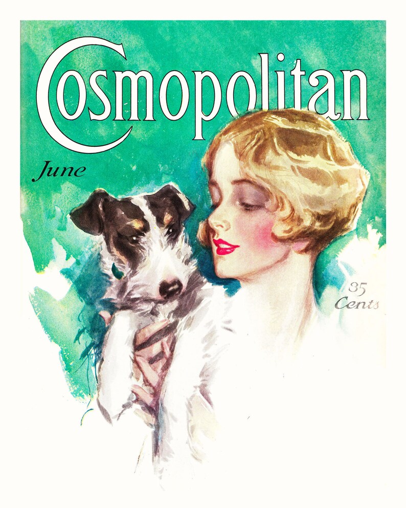 Cosmo Dog! Wire-haired Fox Terrier Print • Vintage Dog Art • 8X10 Wall ...