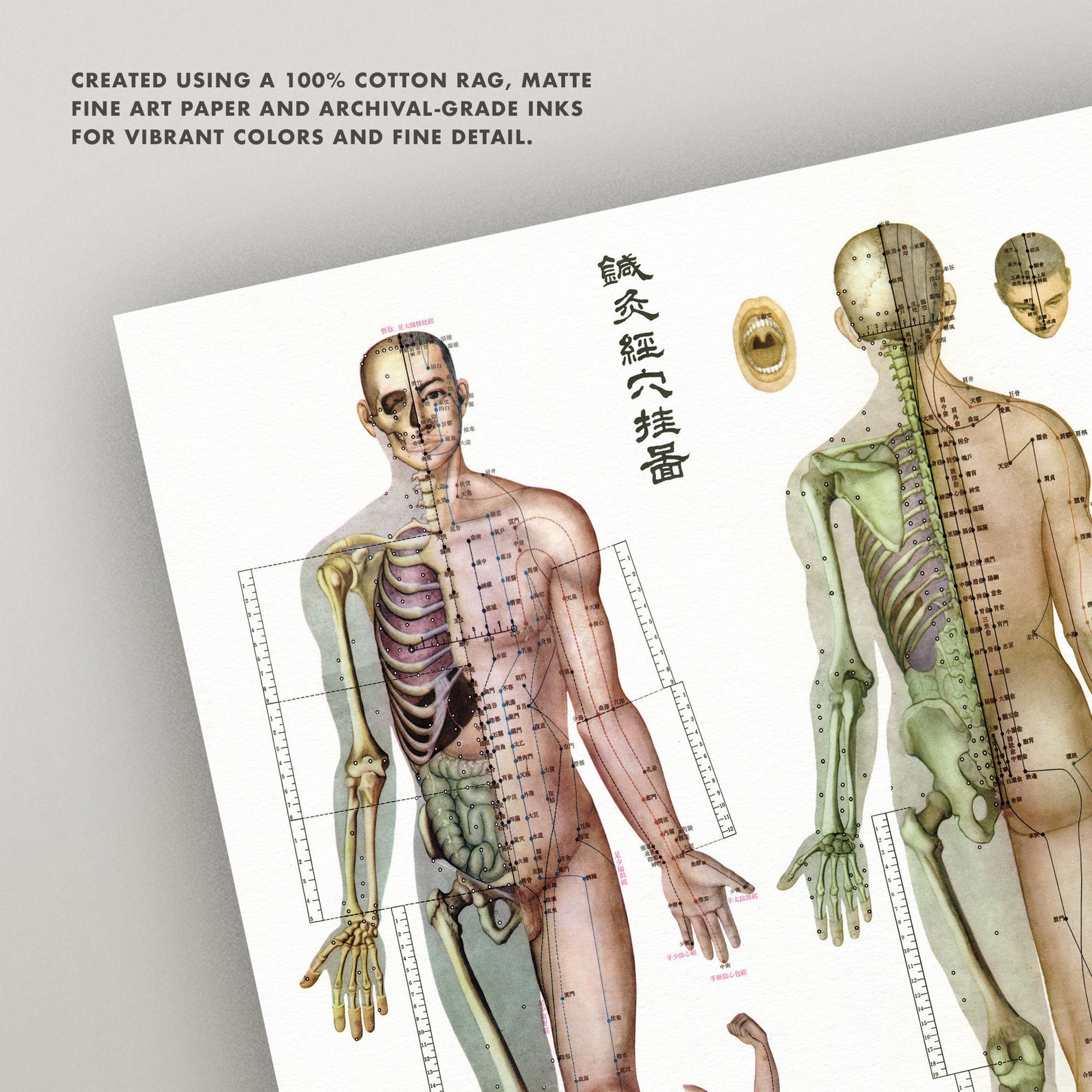 Acupuncture Chart Print Choose From 5 Sizes Vintage - Etsy