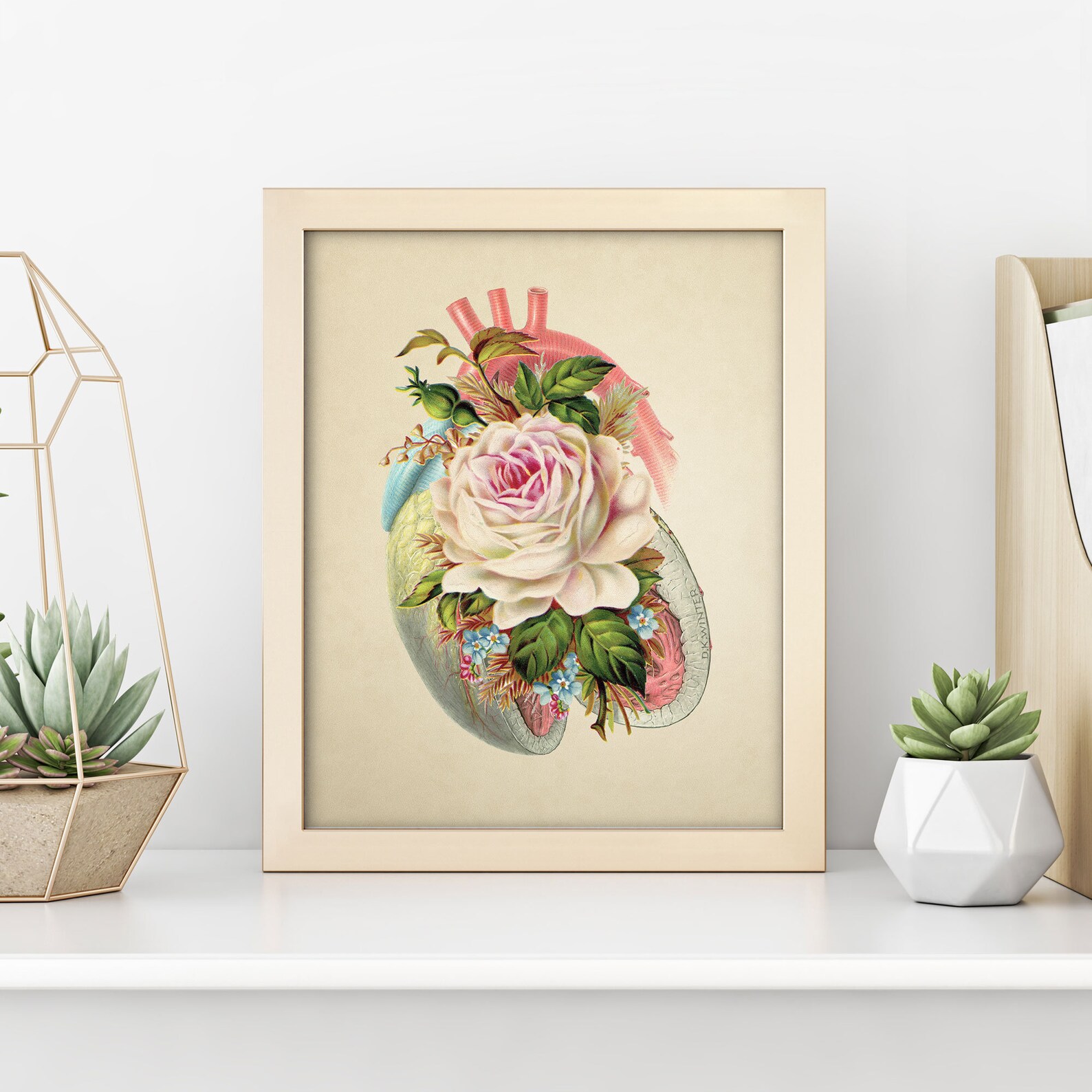 Heart & Rose Collage Antique Human Anatomy Botanical Art 4 - Etsy