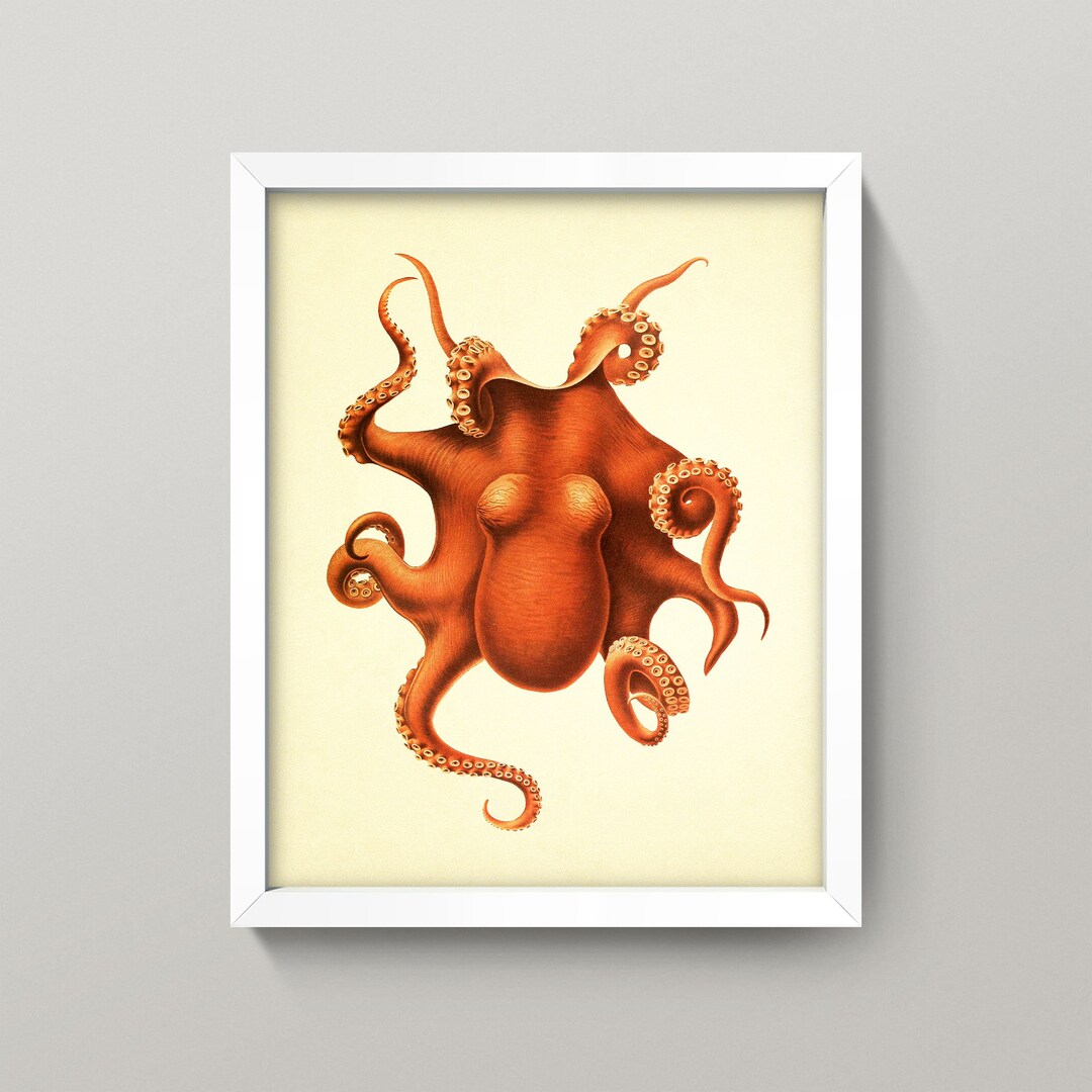 Red Octopus Print • Vintage Octopus Wall Art • 8X10 Print • Antique ...