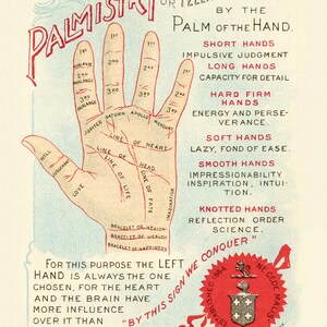 Palmistry Print Vintage Palmistry Fortune Telling Wall Art 4 Sizes ...