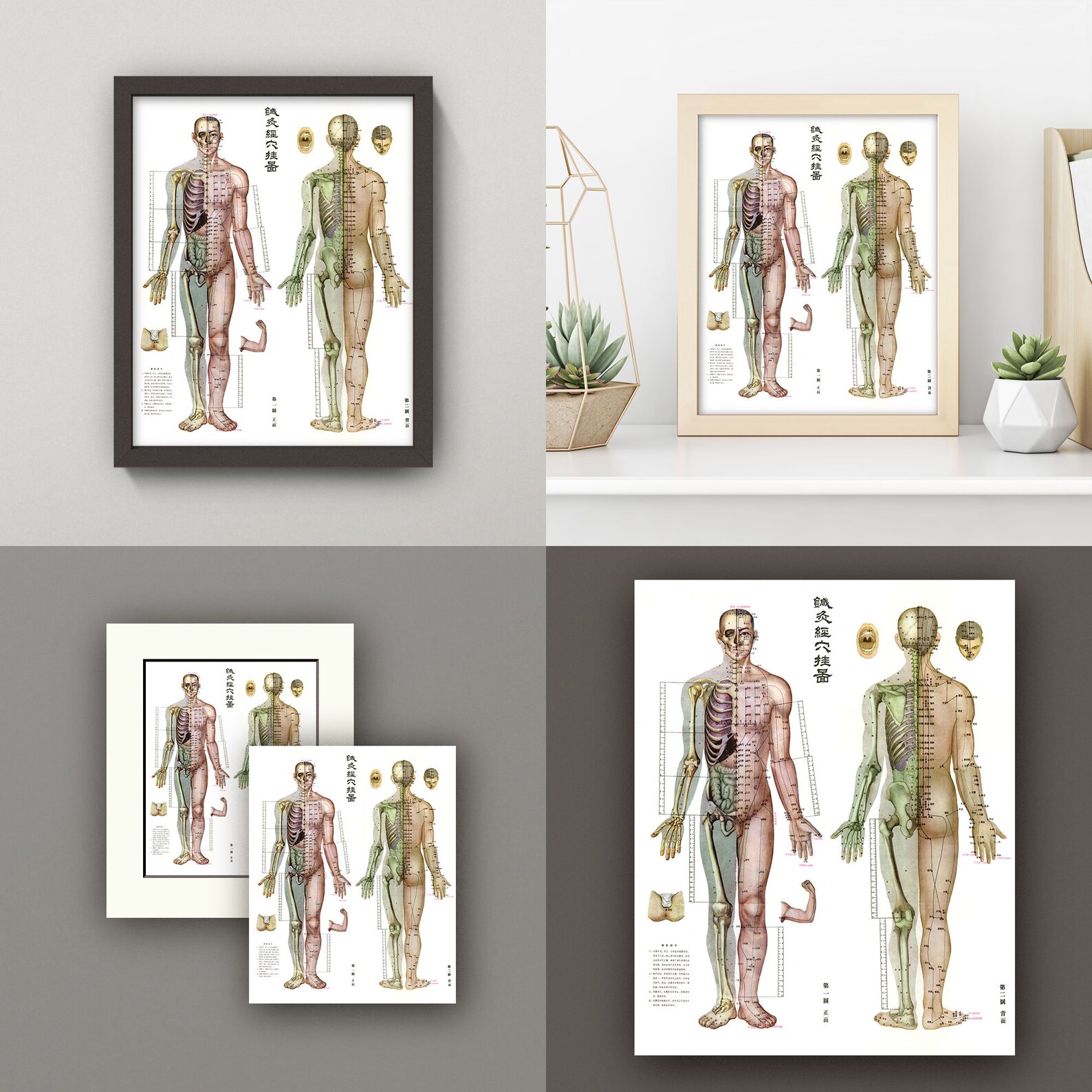 Acupuncture Chart Print Choose From 5 Sizes Vintage | Etsy