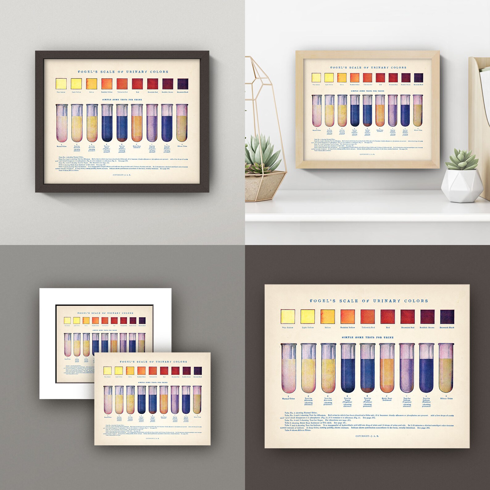 Antique Urine Chart • 4 Sizes! • High Quality Giclee Print • Bathroom ...