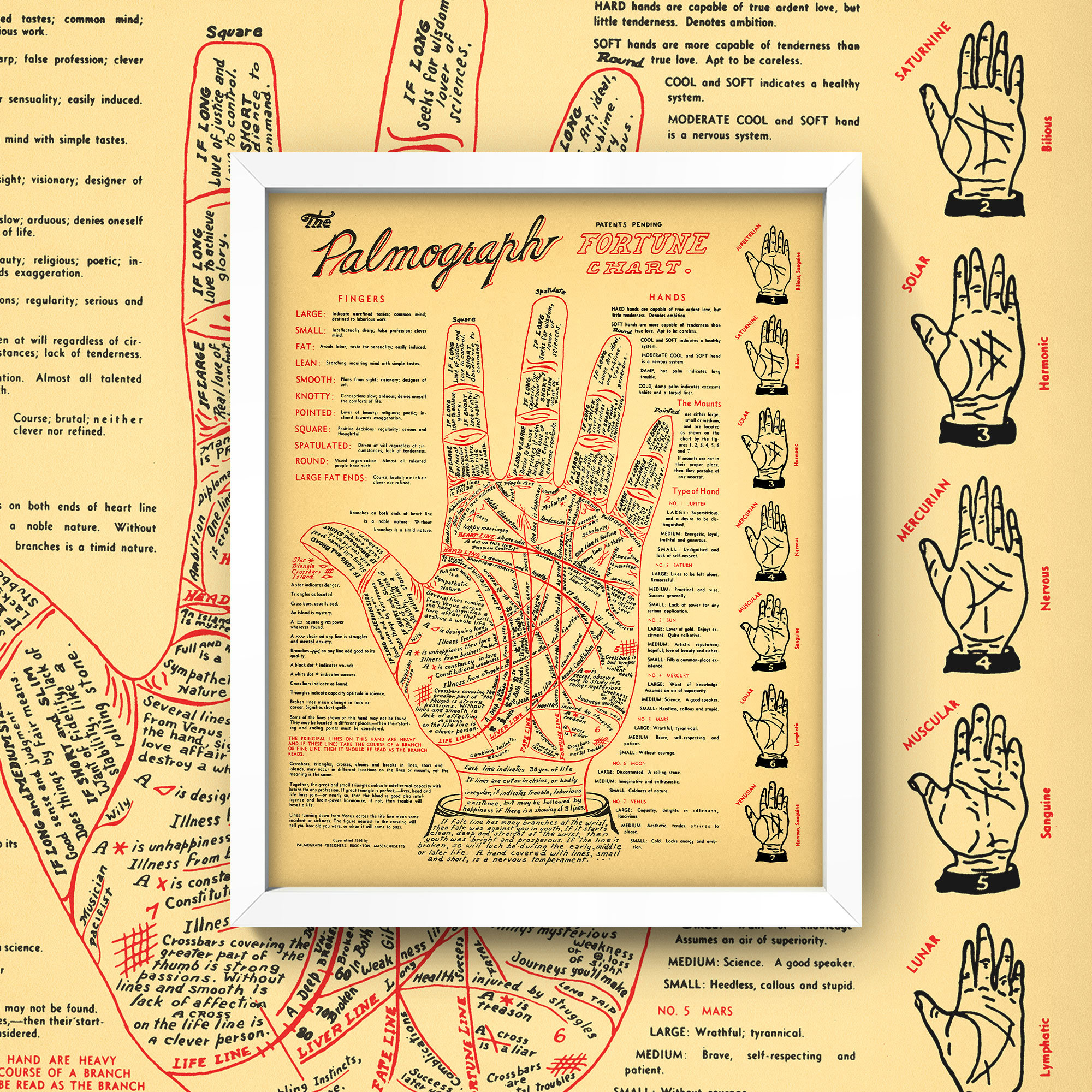 Vintage Palmistry Chart 5 Sizes Fortune Telling - Etsy Canada