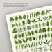 Leaf Shapes Chart Poster • Morphology Diagram • 5 Sizes! • Vintage ...