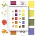 Natural Dyes Color Chart • Vintage Plant Color Print • 8X10 Print ...