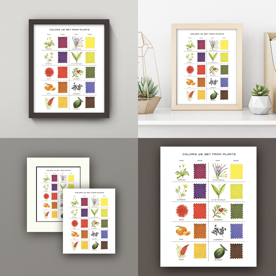 Natural Dyes Color Chart • Vintage Plant Color Print • 8X10 Print ...