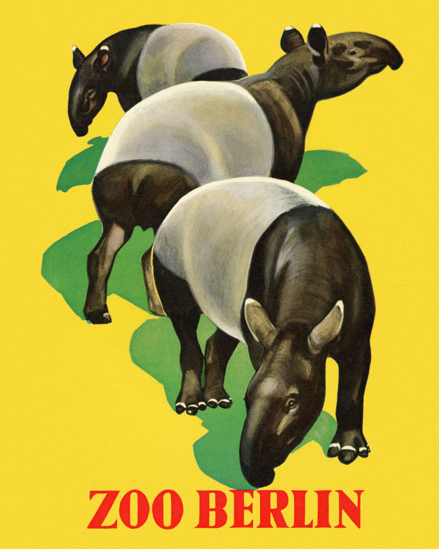 Vintage Tapir Poster Vintage Berlin Zoo Print 3 Sizes | Etsy
