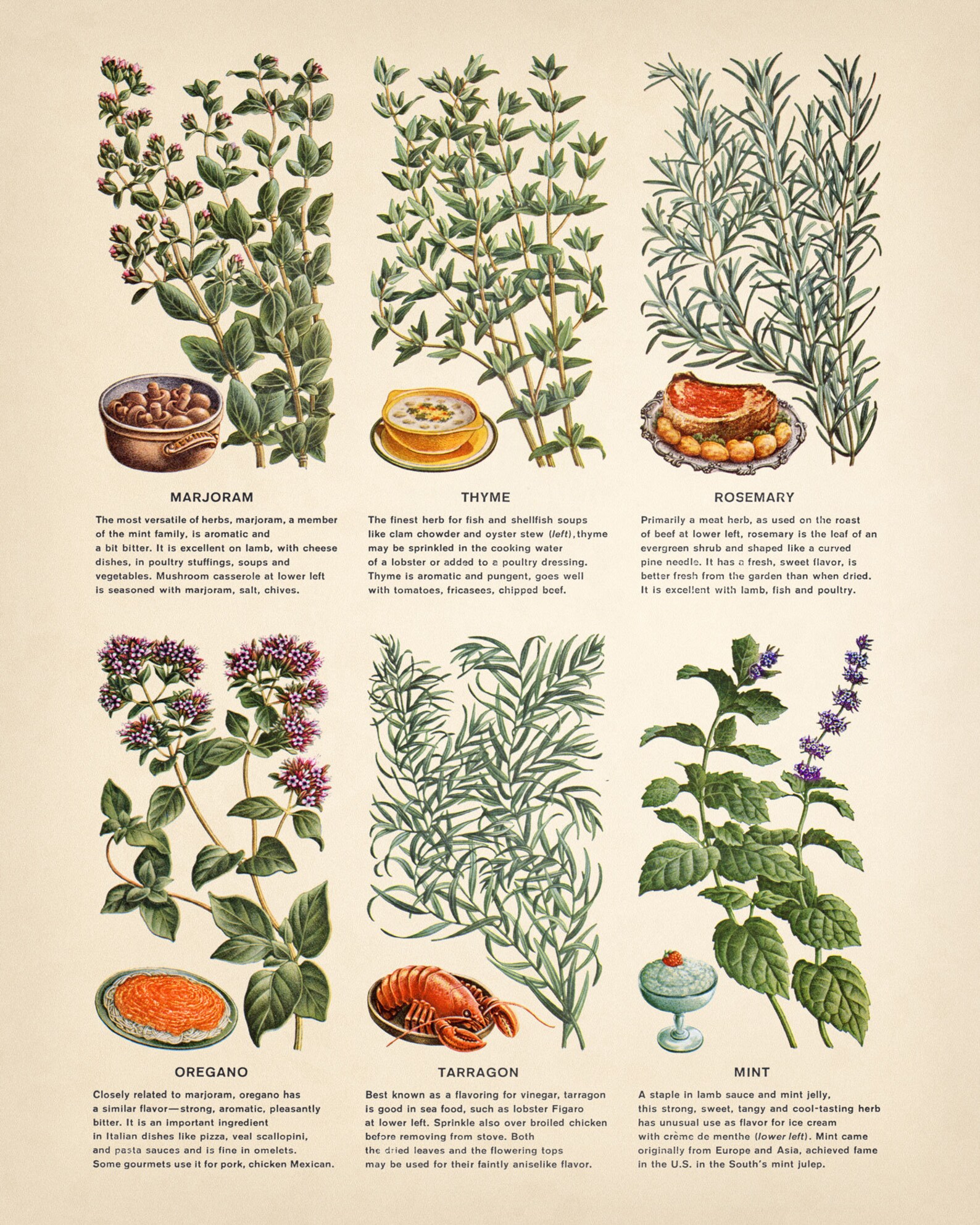 Herb Chart Print Set 8x10 Kitchen Wall Art Purchase - Etsy