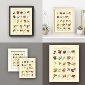 The Language of Flowers • Antique Victorian Flower Diagram • 4 Sizes ...