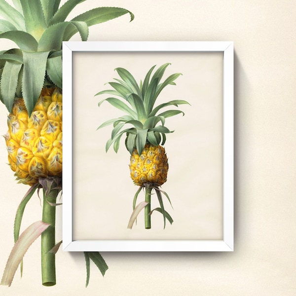 Antique Pineapple - Etsy