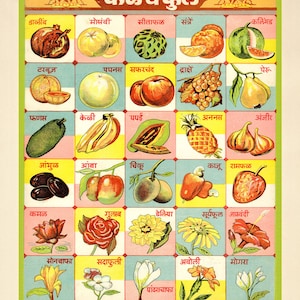 Colorful Kitchen Print • Vintage Marathi Fruit & Flowers Chart • 5 ...