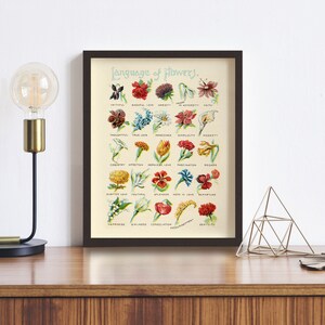 The Language of Flowers • Antique Victorian Flower Diagram • 4 Sizes ...