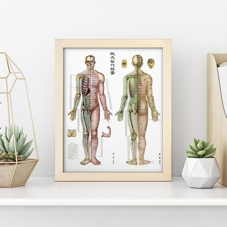 Acupuncture Chart Print • Choose From 5 Sizes! • Vintage Acupuncture ...