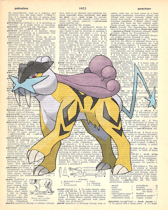 Items similar to Raikou Pokemon Dictionary Art Print on Etsy
